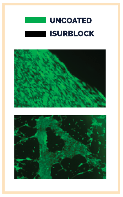 Innovative Surface Technologies - Hyrdophobic Lubricious Medical Coatings